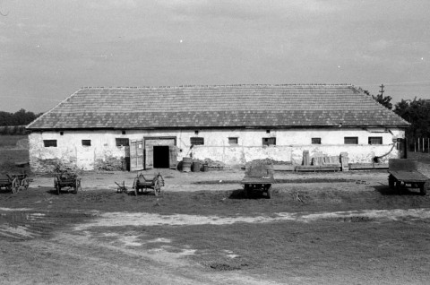 Hozzászólás Csikós Gábor – Ö. Kovács József: Elbeszélés és történeti ...